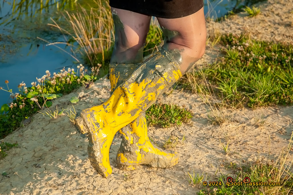 BP :: Preview Gallery 989